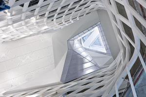 Morphopedia {{ stateParams.section ? '- ' + stateParams.section.charAt ...