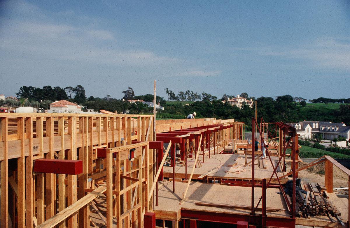 Morphopedia {{ stateParams.section ? '- ' + stateParams.section.charAt ...