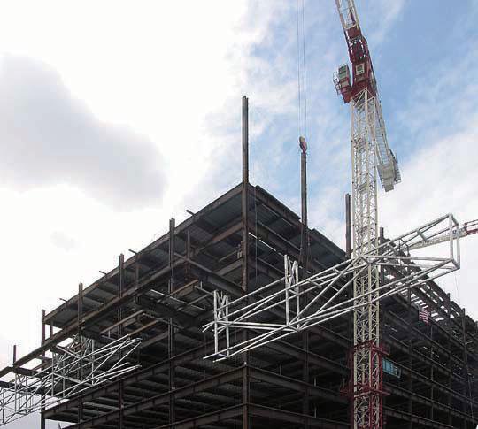 Morphopedia {{ stateParams.section ? '- ' + stateParams.section.charAt ...