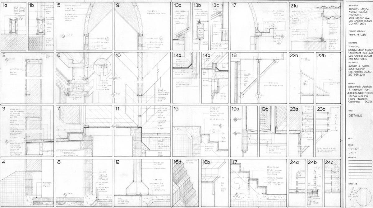 Morphopedia {{ stateParams.section ? '- ' + stateParams.section.charAt ...