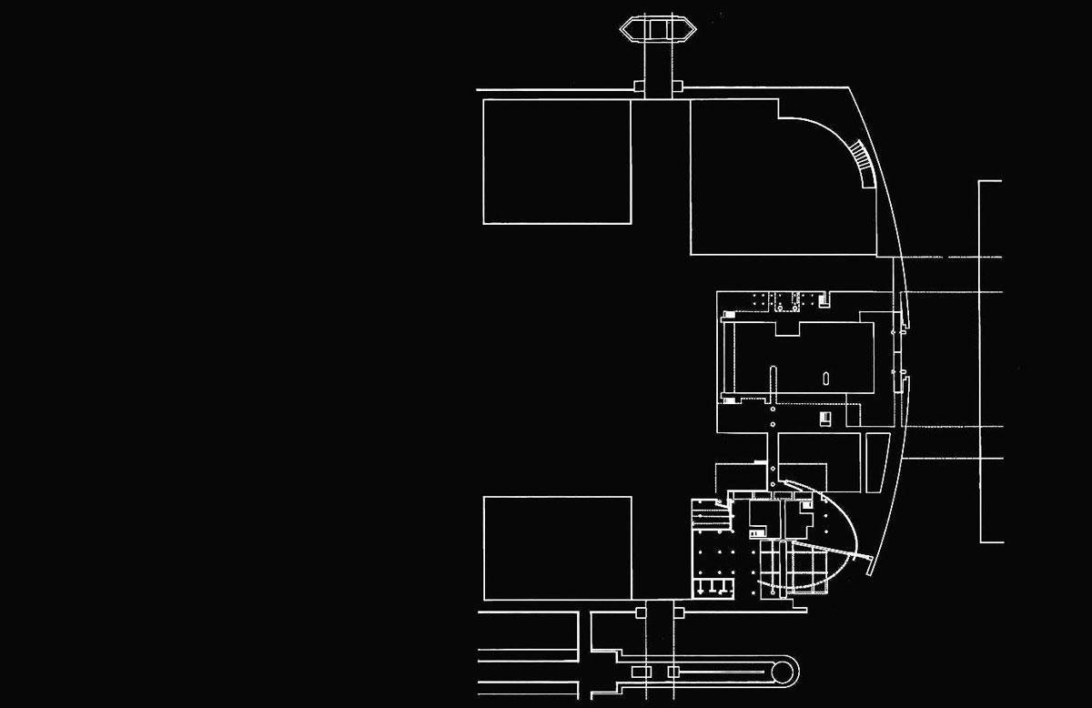 Morphopedia {{ stateParams.section ? '- ' + stateParams.section.charAt ...