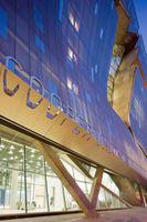 Morphopedia {{ stateParams.section ? '- ' + stateParams.section.charAt ...