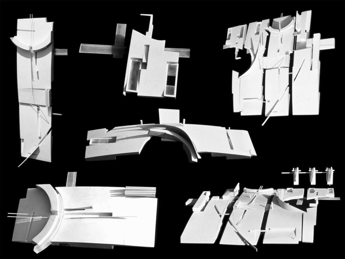 Morphopedia {{ stateParams.section ? '- ' + stateParams.section.charAt( 0 ).toUpperCase ...