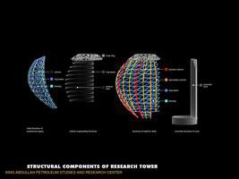 Morphopedia {{ stateParams.section ? '- ' + stateParams.section.charAt ...