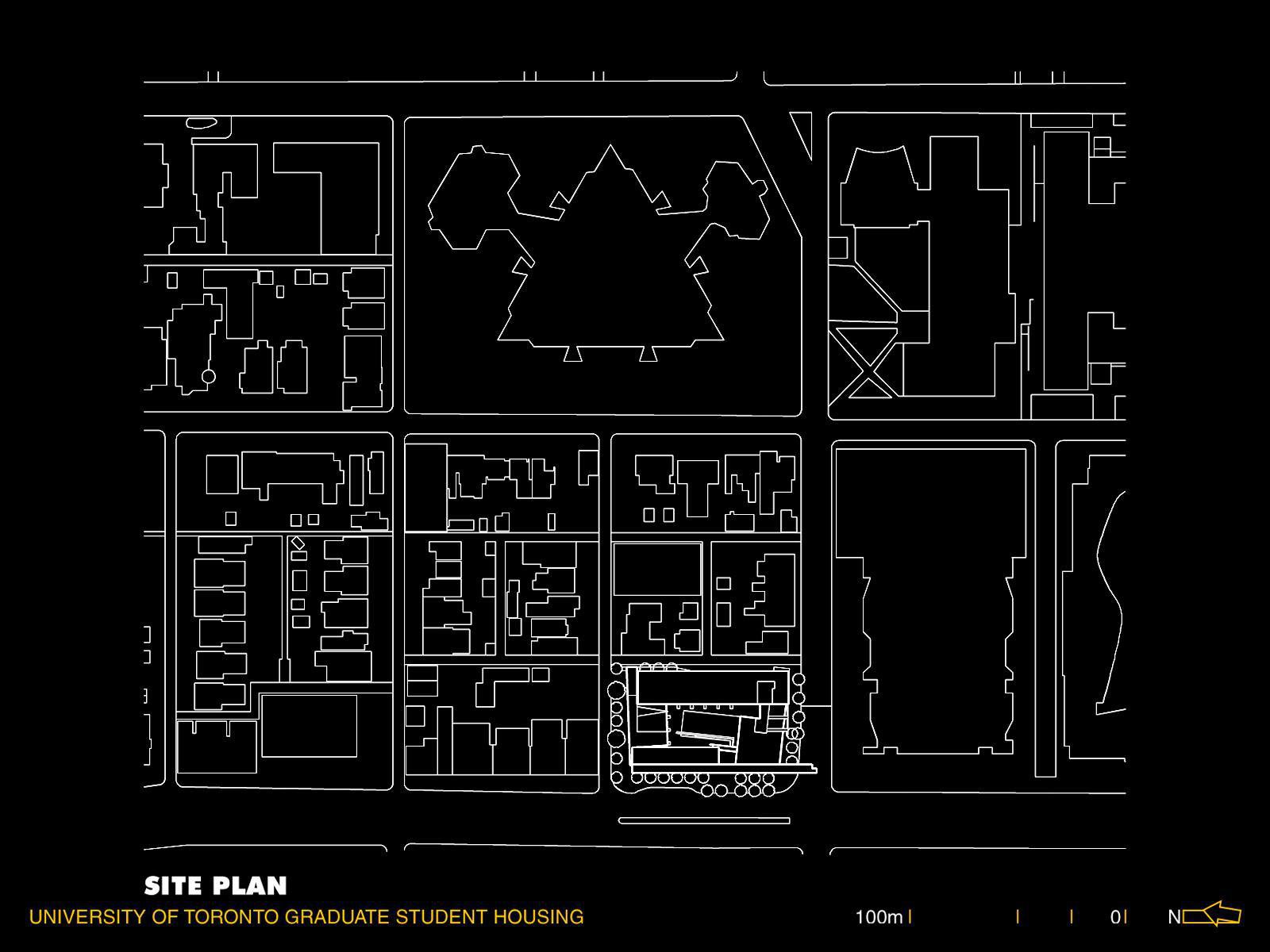 Morphopedia {{ stateParams.section ? '- ' + stateParams.section.charAt ...