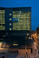 Morphopedia {{ stateParams.section ? '- ' + stateParams.section.charAt ...