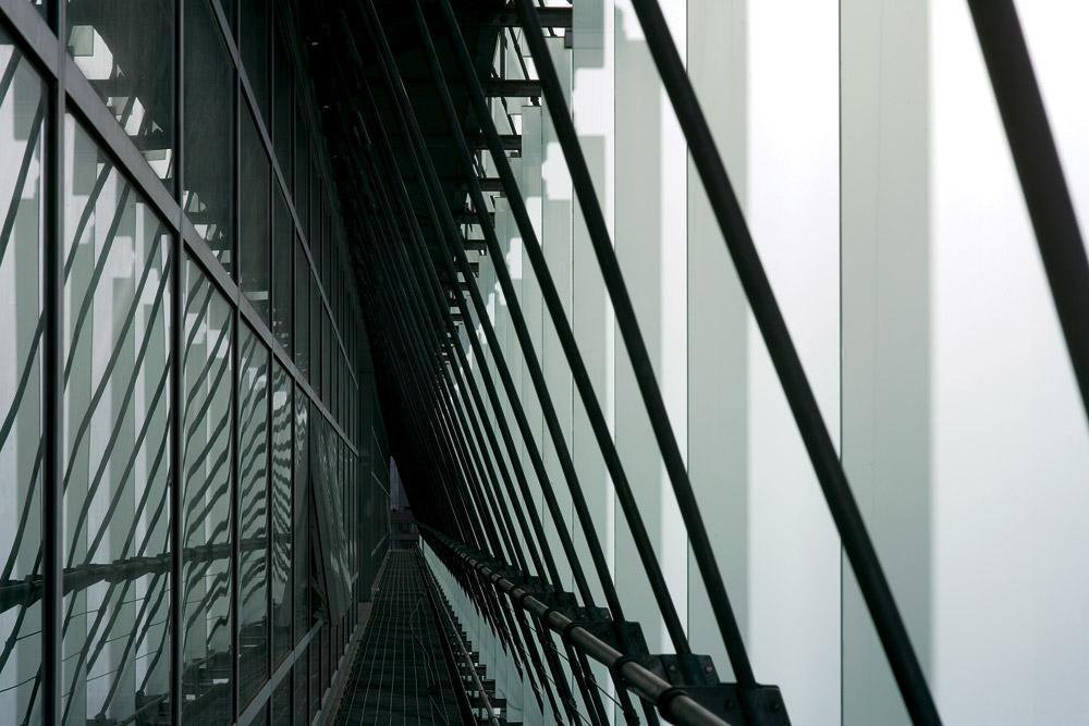 Morphopedia {{ stateParams.section ? '- ' + stateParams.section.charAt ...