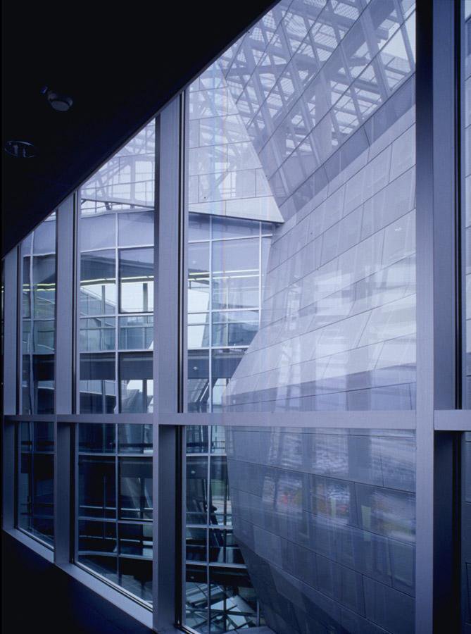 Morphopedia {{ stateParams.section ? '- ' + stateParams.section.charAt ...