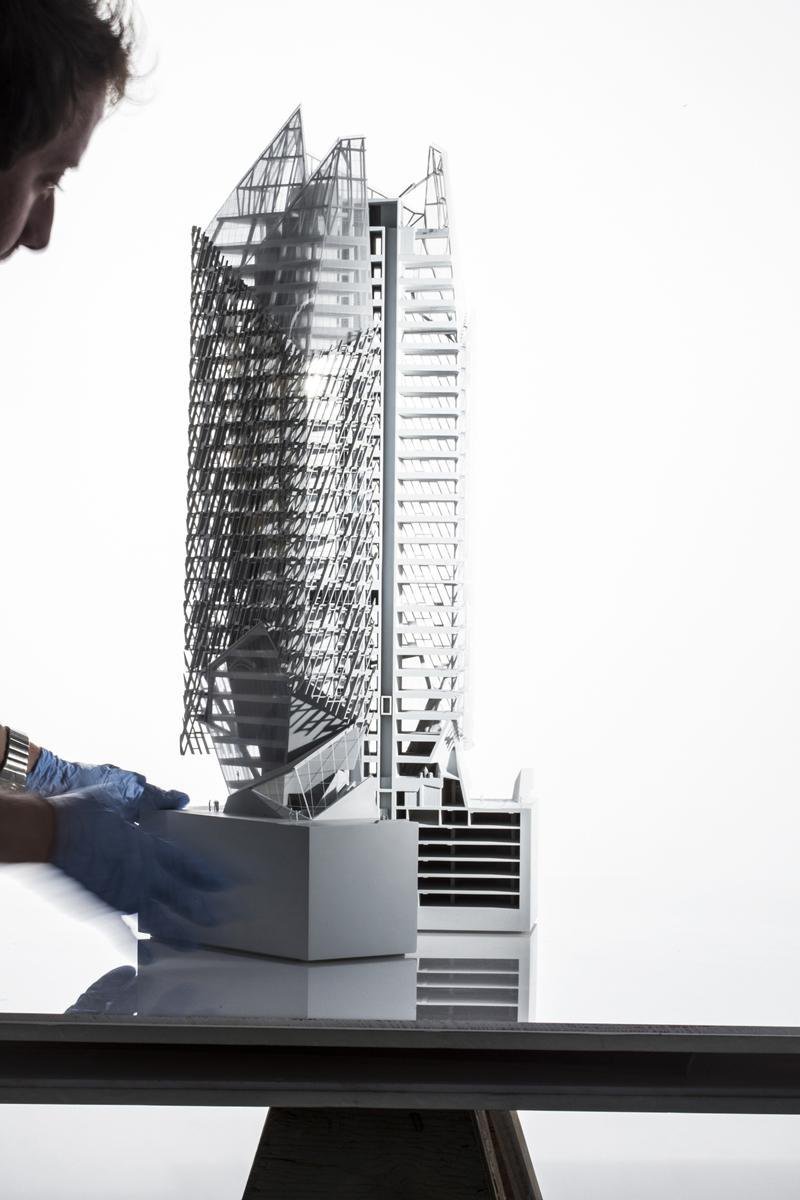 Morphopedia {{ stateParams.section ? '- ' + stateParams.section.charAt ...