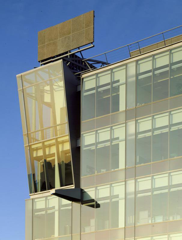 Morphopedia {{ stateParams.section ? '- ' + stateParams.section.charAt ...