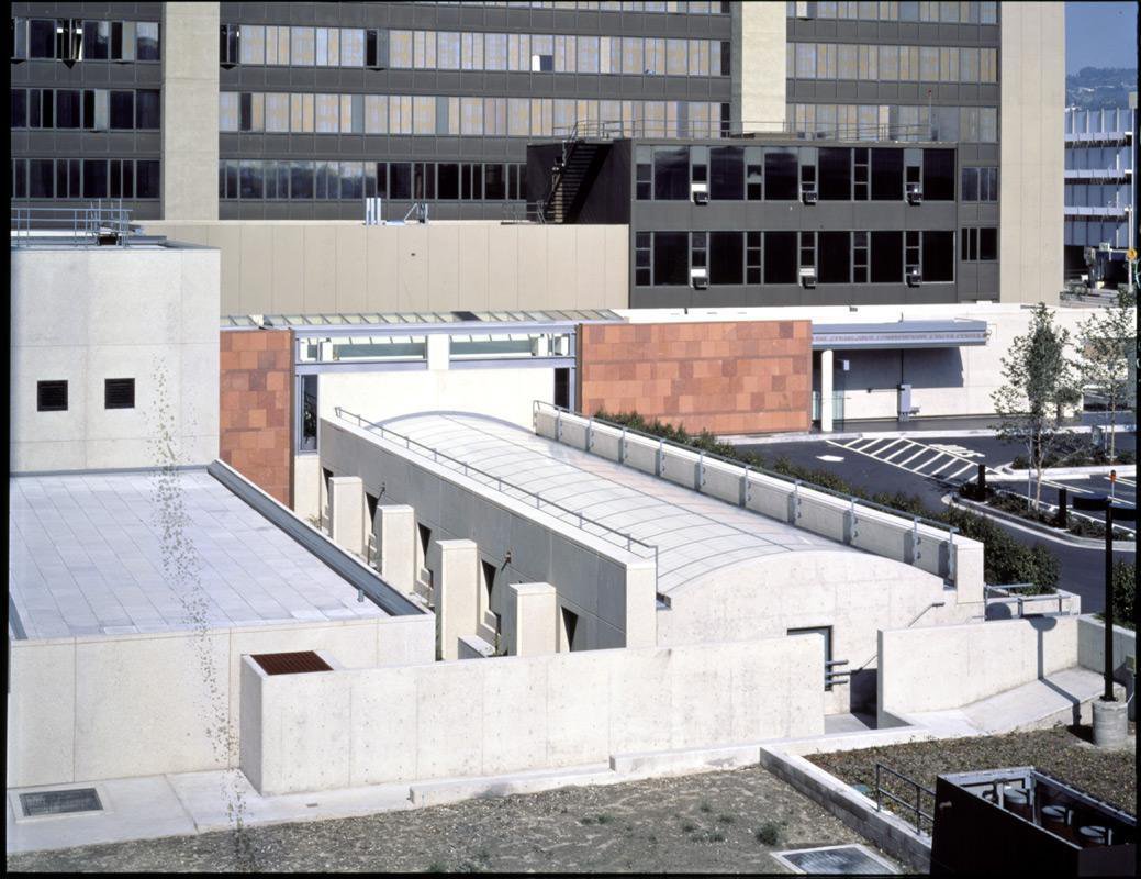 Morphopedia {{ stateParams.section ? '- ' + stateParams.section.charAt ...