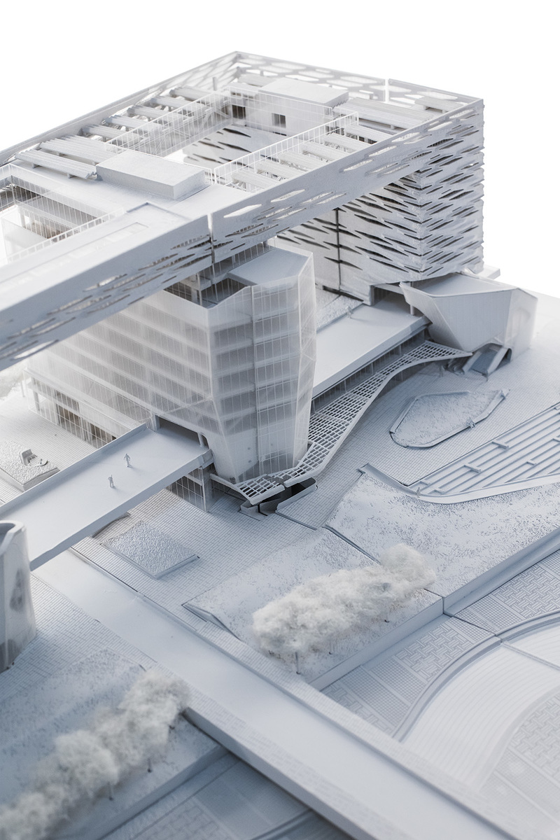 Morphopedia {{ stateParams.section ? '- ' + stateParams.section.charAt( 0 ).toUpperCase ...