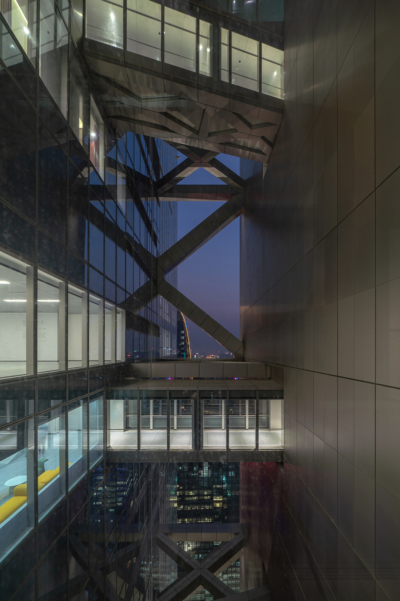 Morphopedia {{ stateParams.section ? '- ' + stateParams.section.charAt ...