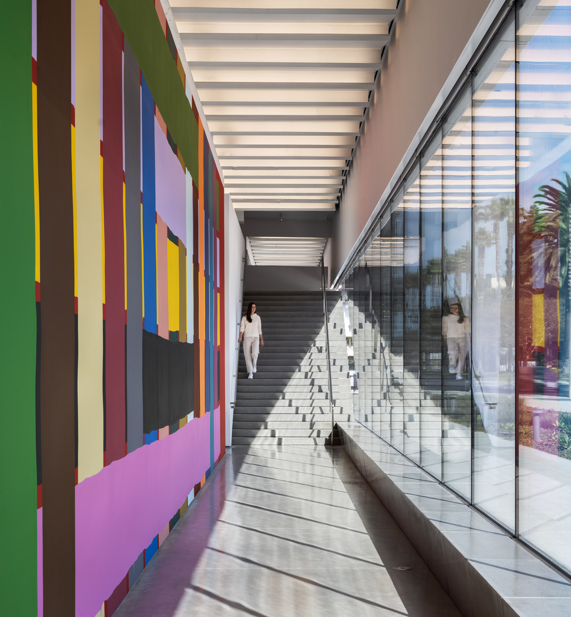 Morphopedia {{ stateParams.section ? '- ' + stateParams.section.charAt ...