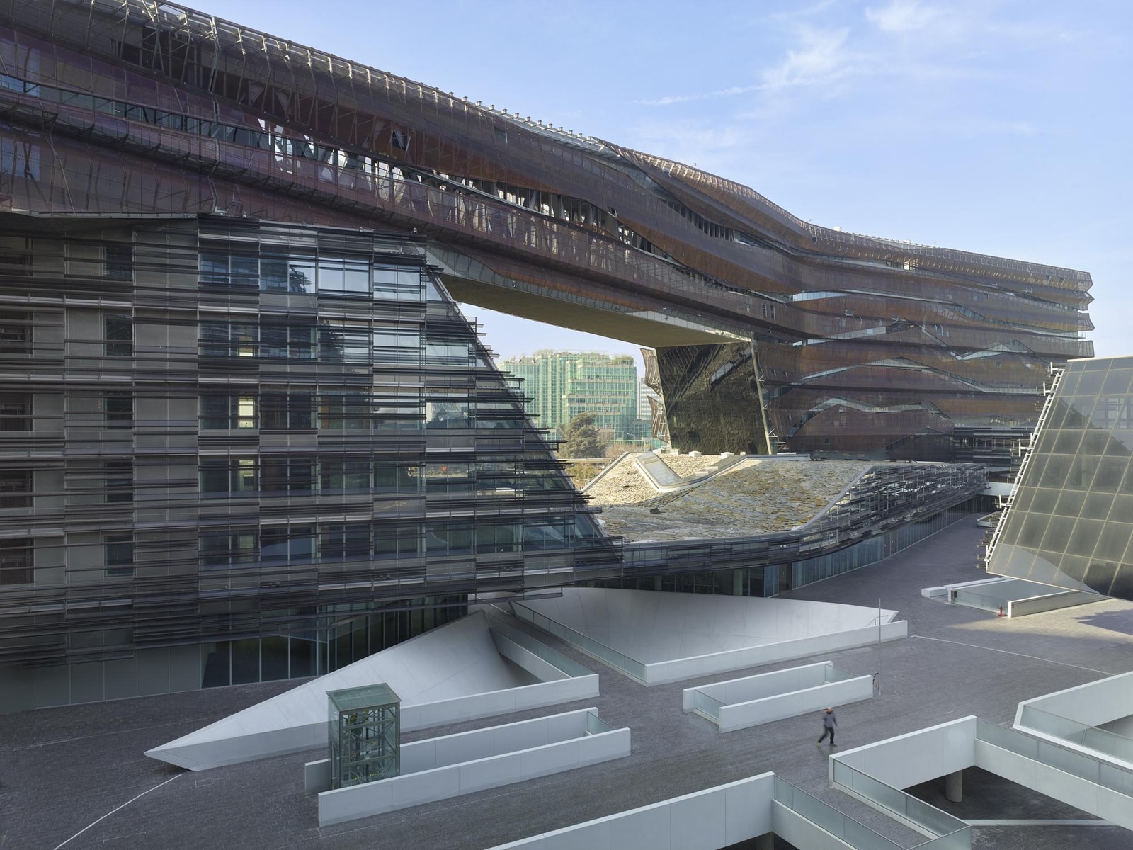 Morphopedia {{ stateParams.section ? '- ' + stateParams.section.charAt ...