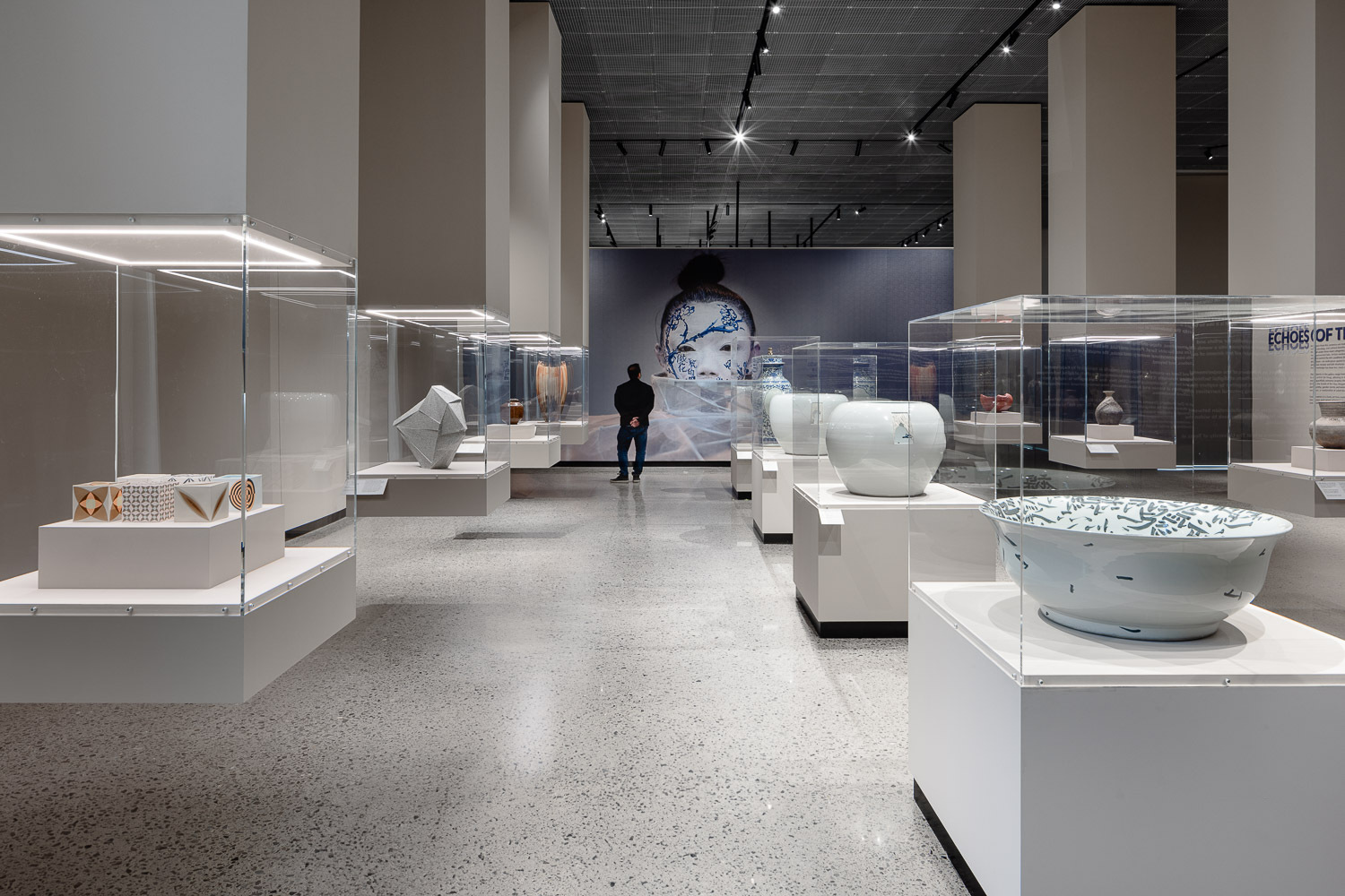 Morphopedia {{ stateParams.section ? '- ' + stateParams.section.charAt ...