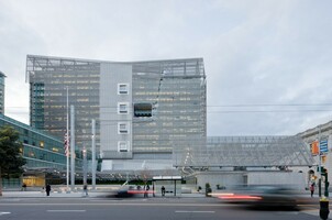 Morphopedia {{ stateParams.section ? '- ' + stateParams.section.charAt ...