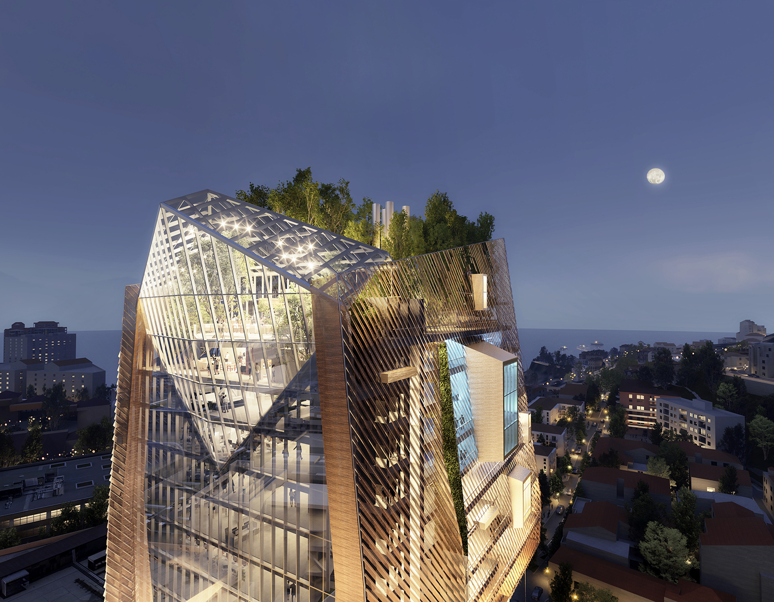 Morphopedia {{ stateParams.section ? '- ' + stateParams.section.charAt( 0 ).toUpperCase ...