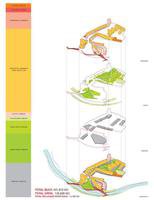 Morphopedia {{ stateParams.section ? '- ' + stateParams.section.charAt ...